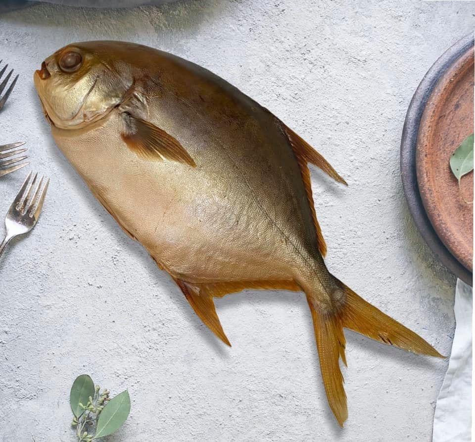 Smoked Pompano – Salt N Fish